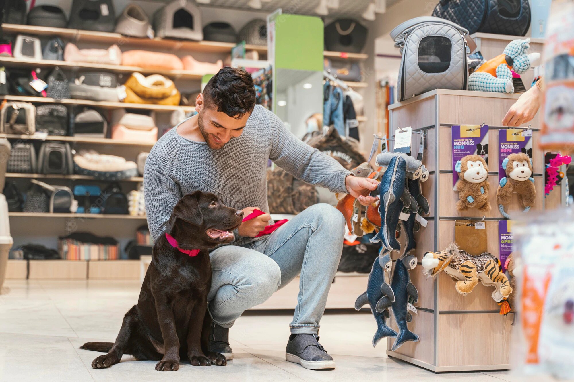 Comment bien choisir sa boutique d'animalerie ? - quatrepattessousuntoit.fr